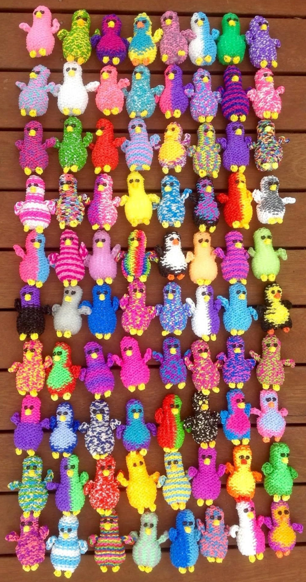 About us – Gippy Penguins